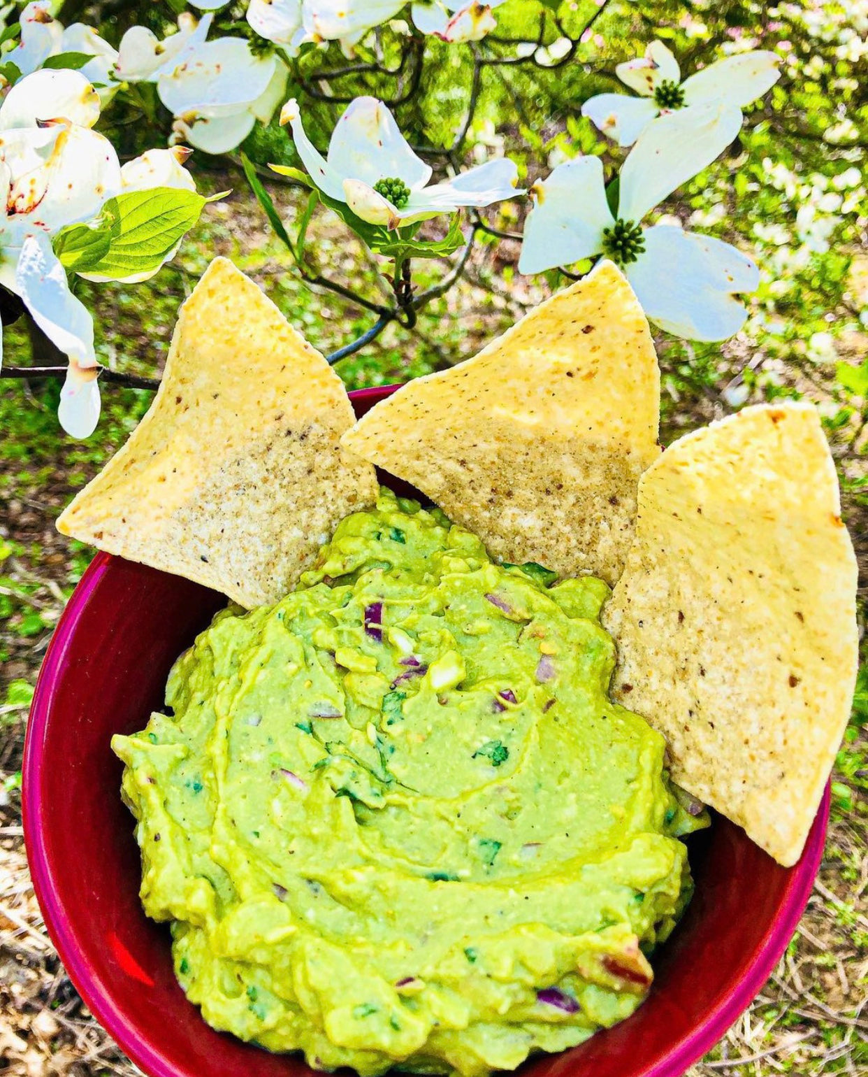 ZZ Top Guac – forgetmenotfood